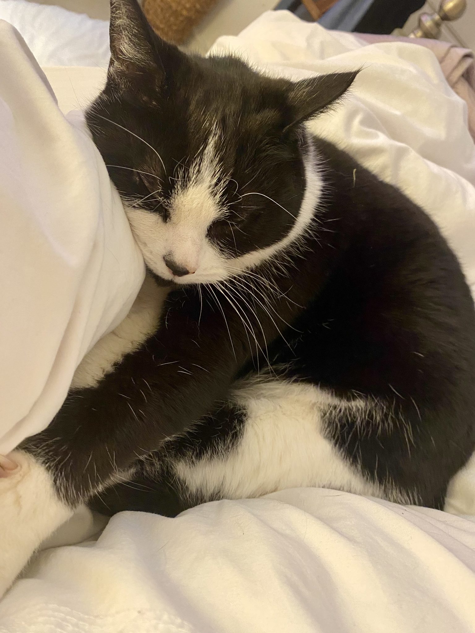 When You Desperately Want a Baby: The Things That Help You Cope and Why ...